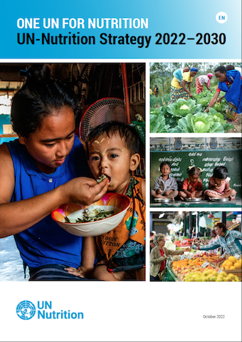 UN-Nutrition Strategy 2022−2030: One UN for nutrition | UN‑Nutrition ...