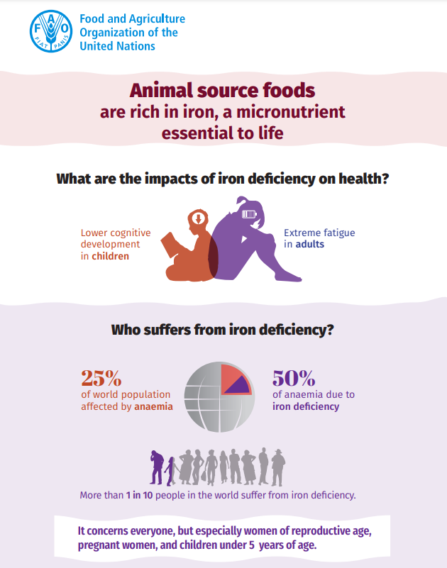Infographics – Benefits of consuming animal source foods | UN‑Nutrition ...
