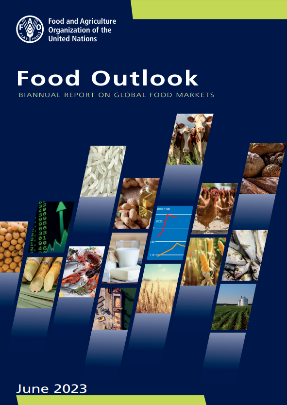 Food Outlook ─ Biannual report on global food markets | UN‑Nutrition ...