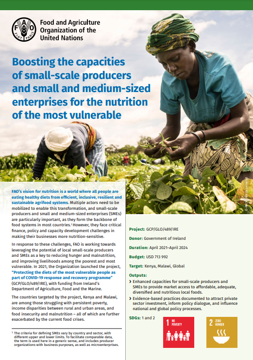Boosting the capacities of small-scale producers and small and medium ...