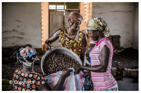 Sustainable food systems: An introduction [e-Learning] | UN‑Nutrition ...