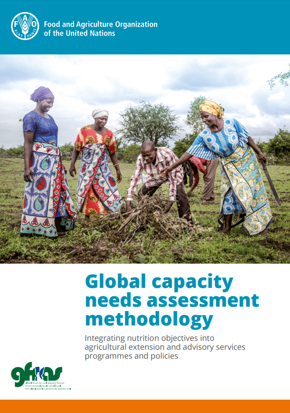 Global capacity needs assessment methodology – Integrating nutrition ...
