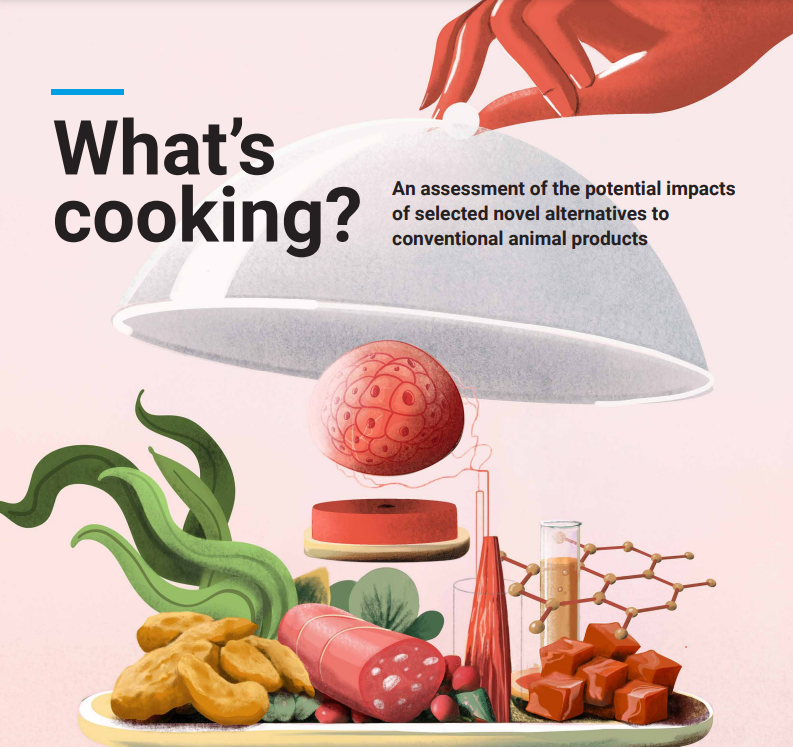 What's Cooking? An assessment of potential impacts of selected novel ...