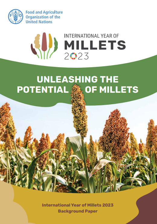 Unleashing the potential of millets – International Year of Millets ...