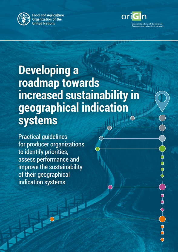 Developing a roadmap towards increased sustainability in geographical ...