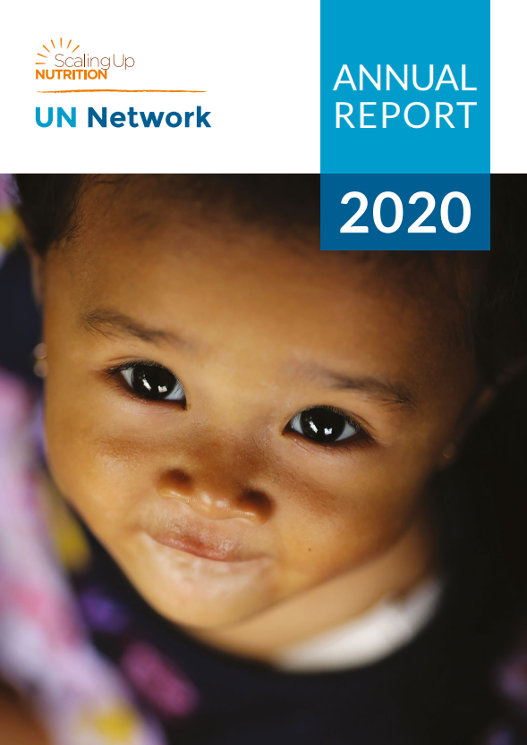 UN Network Annual Report (2020) | UN‑Nutrition: the United Nations ...
