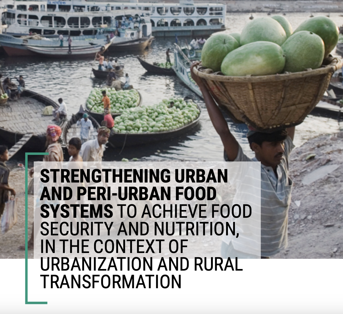 New HLPE-FSN Report 'Strengthening urban and peri-urban food systems to ...