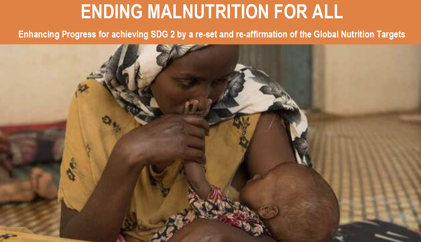 Ending Malnutrition for All: Enhancing Progress for achieving SDG2 by a ...