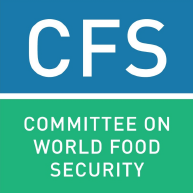 Call for inputs: CFS Policy Convergence workstream on Strengthening ...