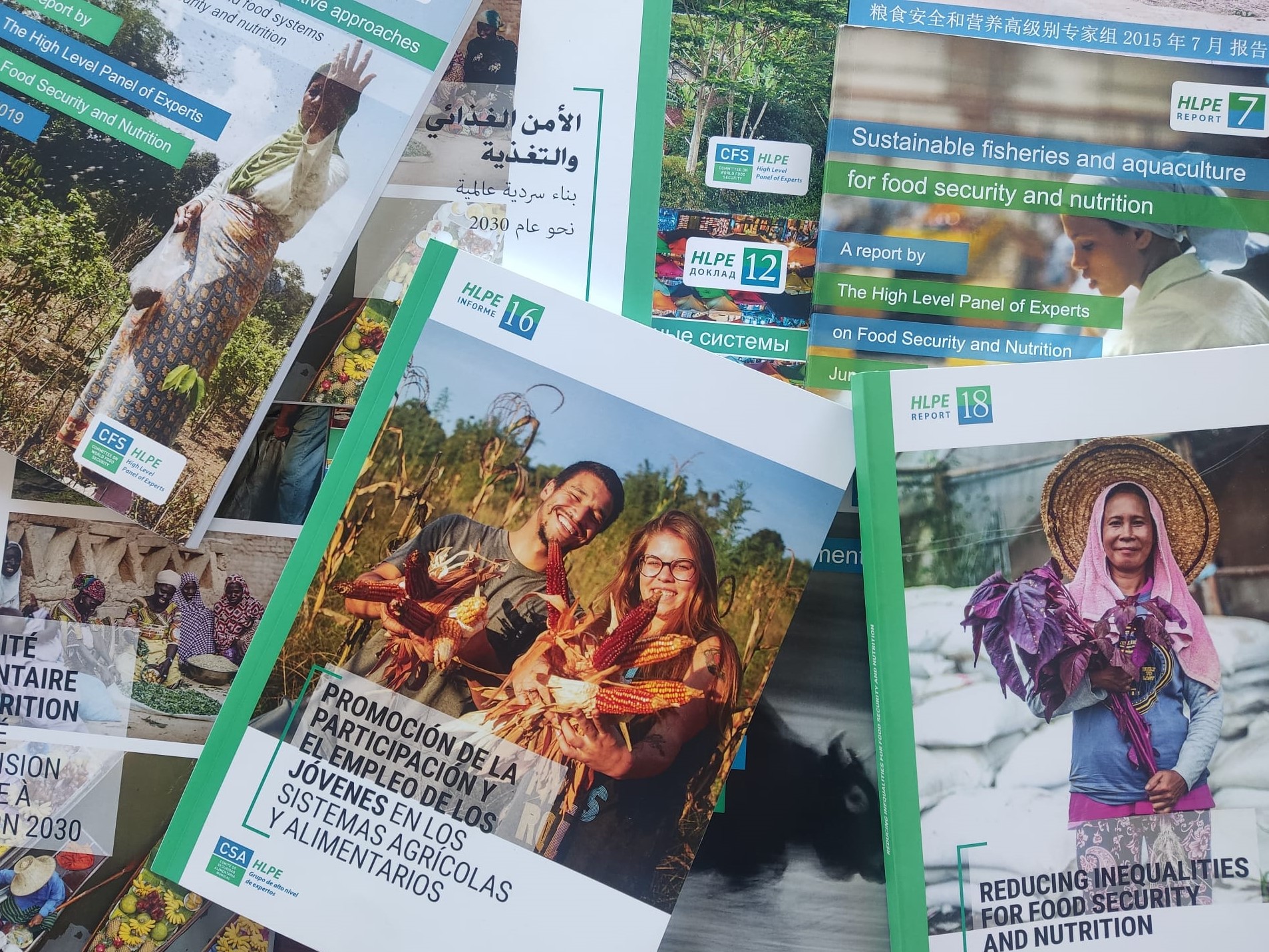 Call for experts: Renewal of the Steering Committee of the CFS High ...