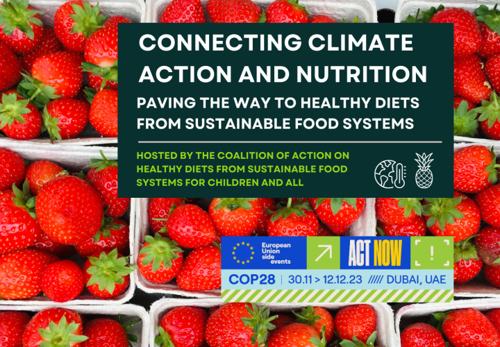 Connecting climate action and nutrition at COP28- paving the way to ...