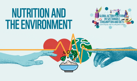 Library | UN‑Nutrition: the United Nations inter‑agency coordination ...