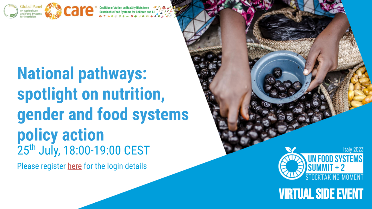 National Pathways: Spotlight on nutrition, gender and food system ...