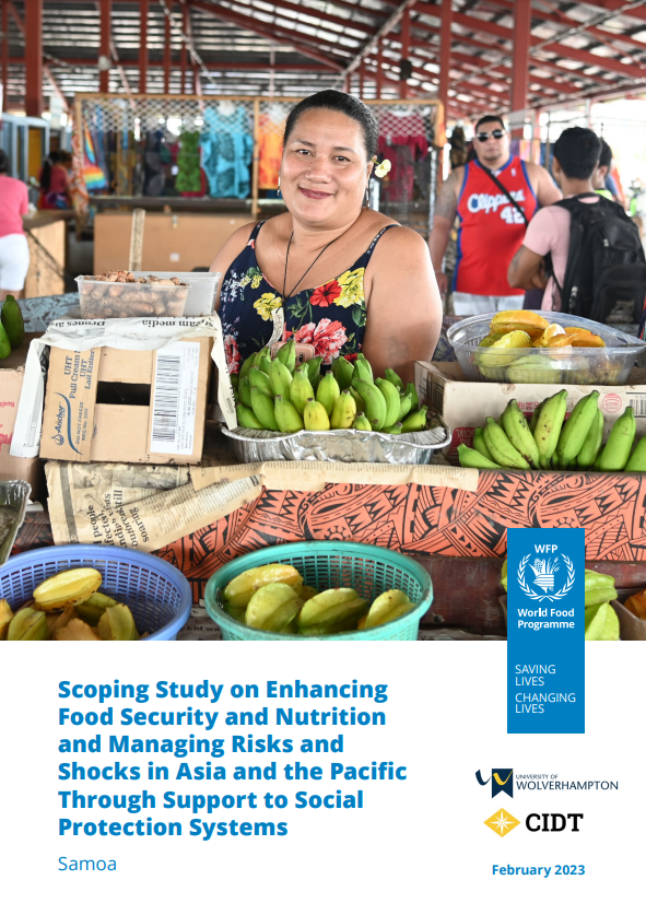 Scoping study on Enhancing Food Security and Nutrition and Managing ...