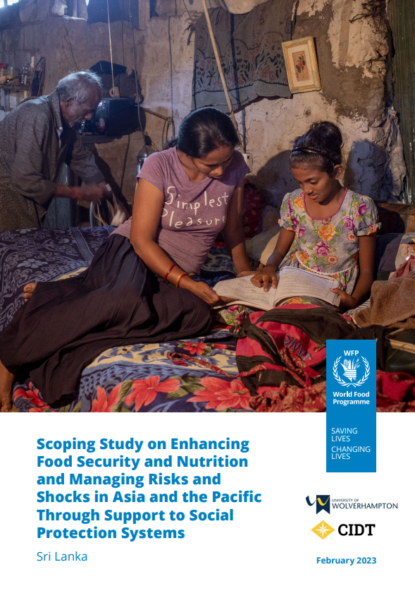 Scoping study on Enhancing Food Security and Nutrition and Managing ...