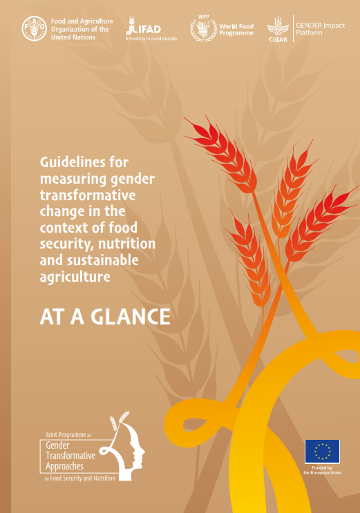 Guidelines for measuring gender transformative change in the context of ...