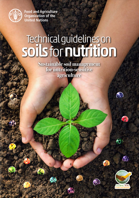 Technical guidelines on soils for nutrition – Sustainable soil ...