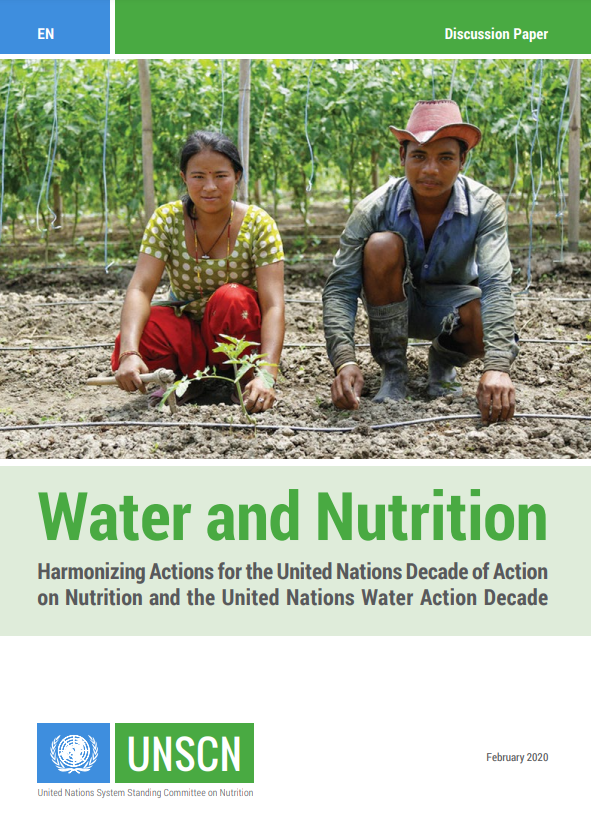 Water and Nutrition: Harmonizing actions for the UN Decade of Action on ...