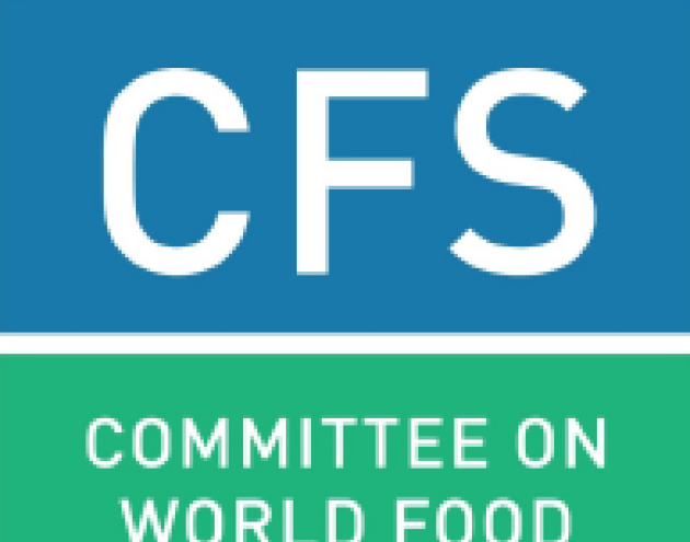 UN‑Nutrition: the United Nations inter‑agency coordination mechanism ...